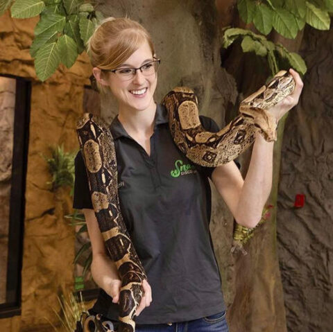 Sacramento Reptile Show | Largest reptile exhibit in Northern California