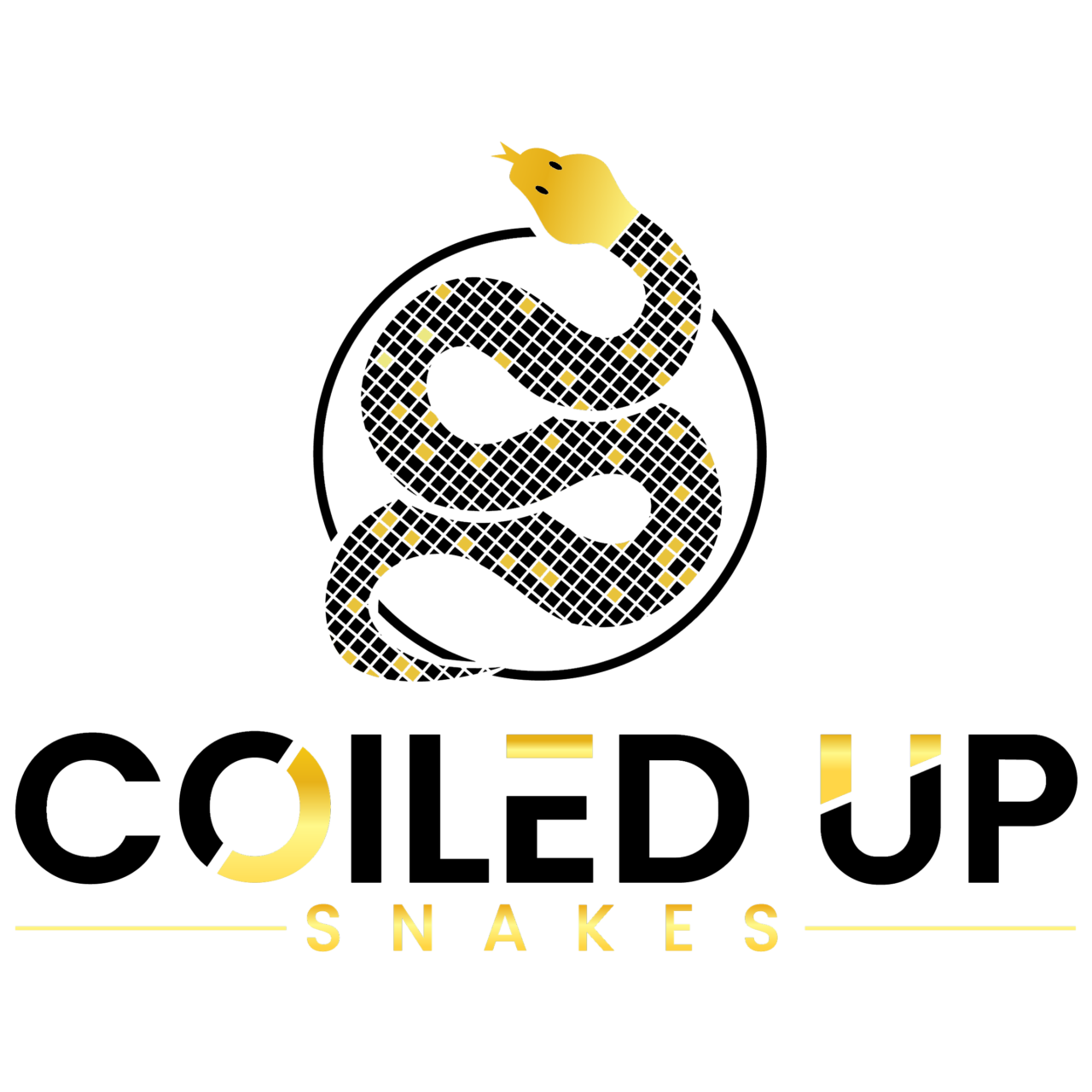 Meet the Vendors | Sacramento Reptile Show